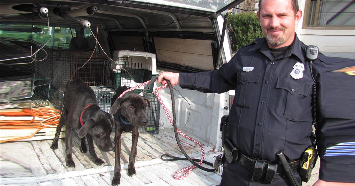 National Police for the protection of animals