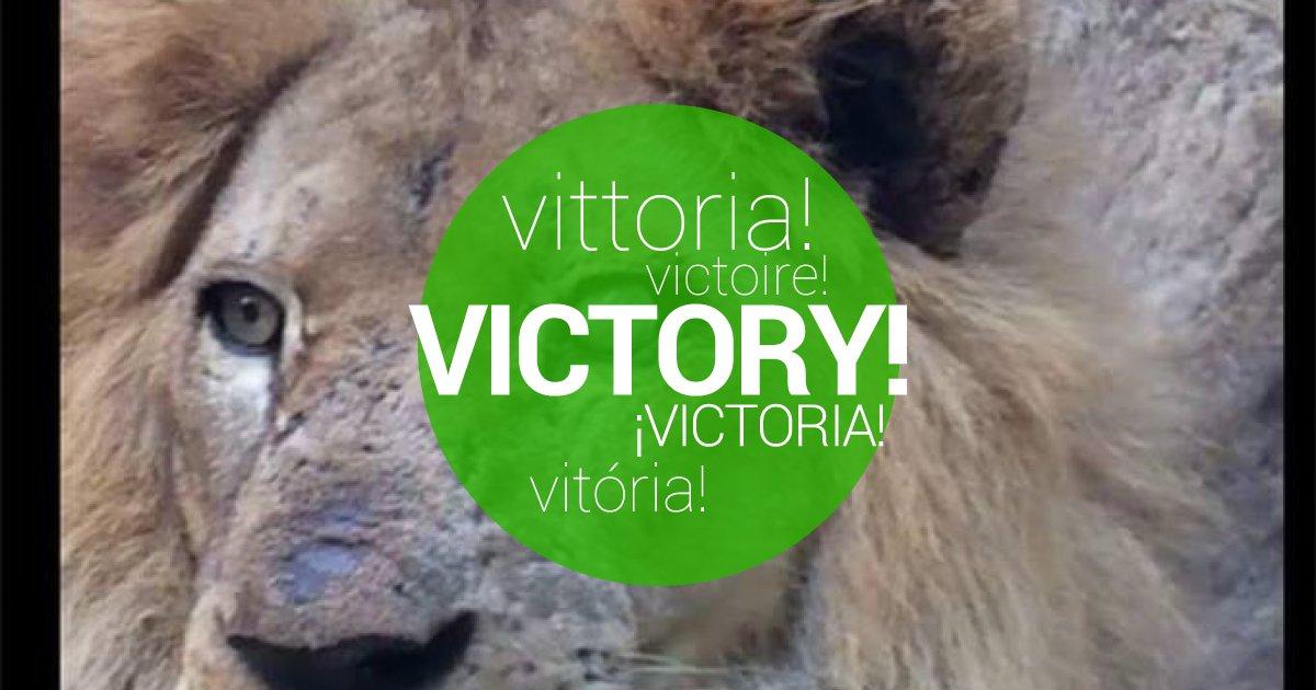 It Begins a New and Better Life for Animals of Moca Zoo!