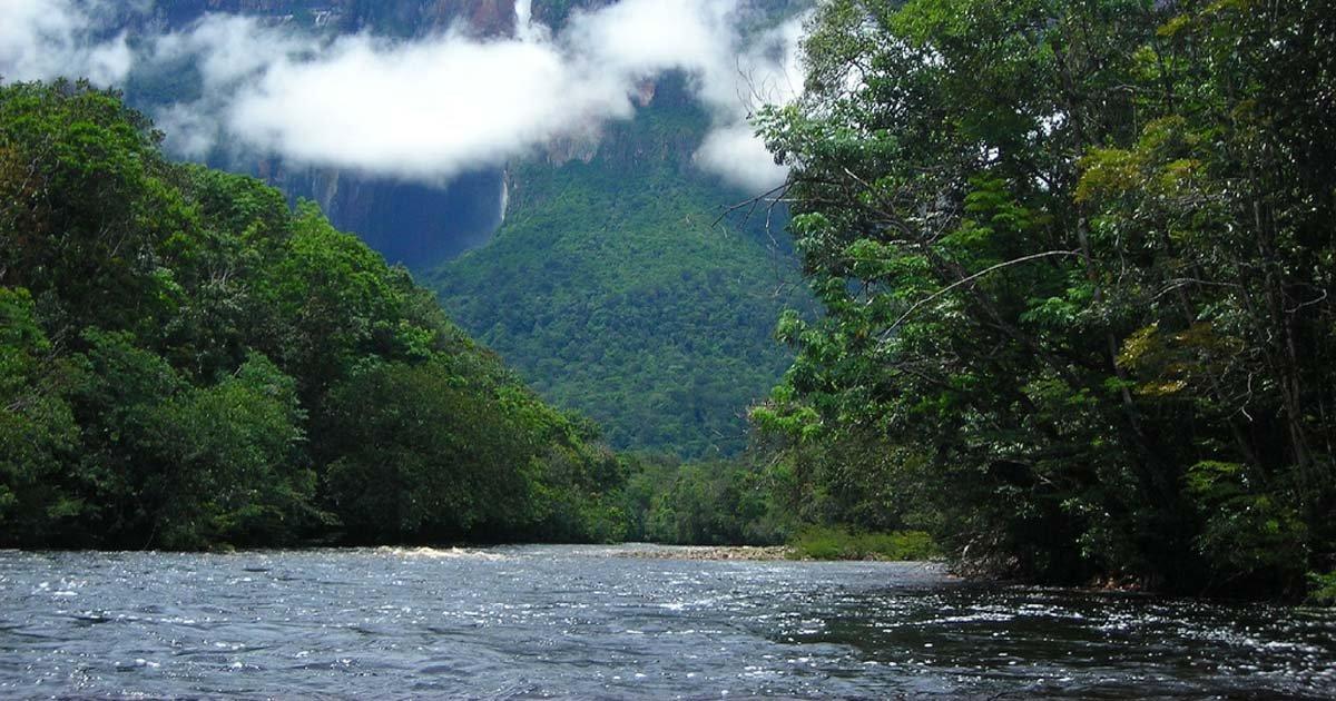 Request the Government of Venezuela to stop the Project Orinoco Mining Arch